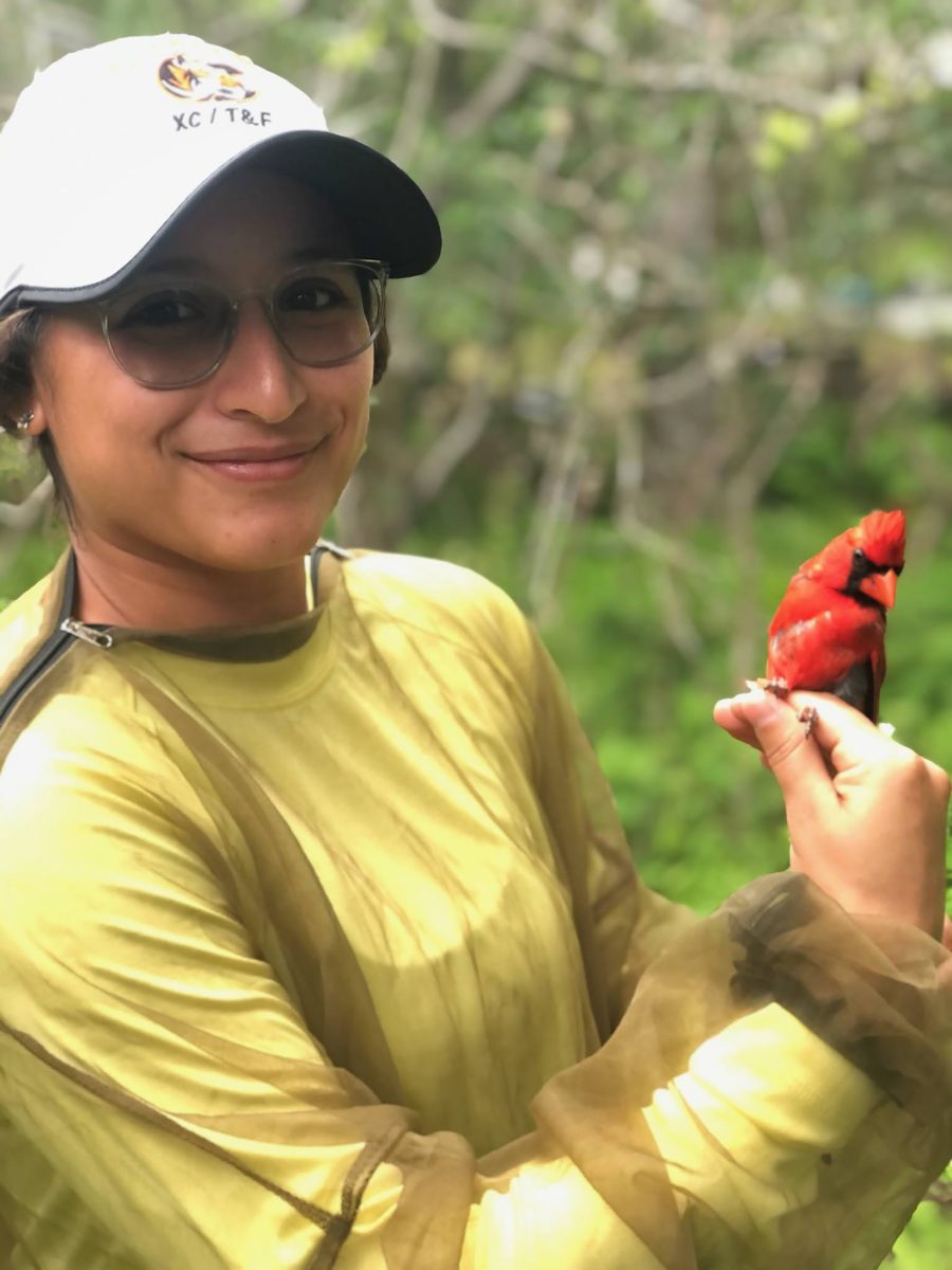SFA forestry graduate students contribute to critical avian ...