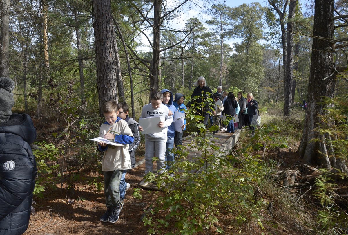 “Classroom Without Walls” introduces students to forest experience ...