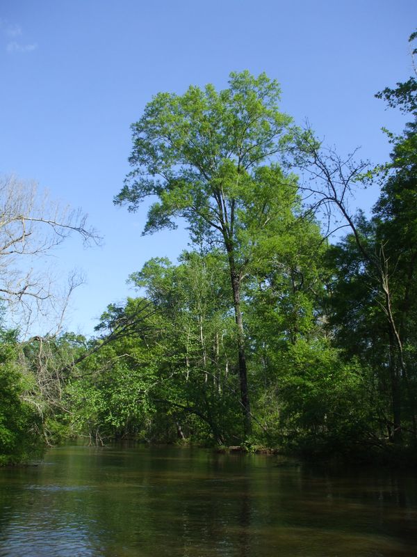 Public Invited to Neches River Refuge for Free Event Saturday, April 8 ...