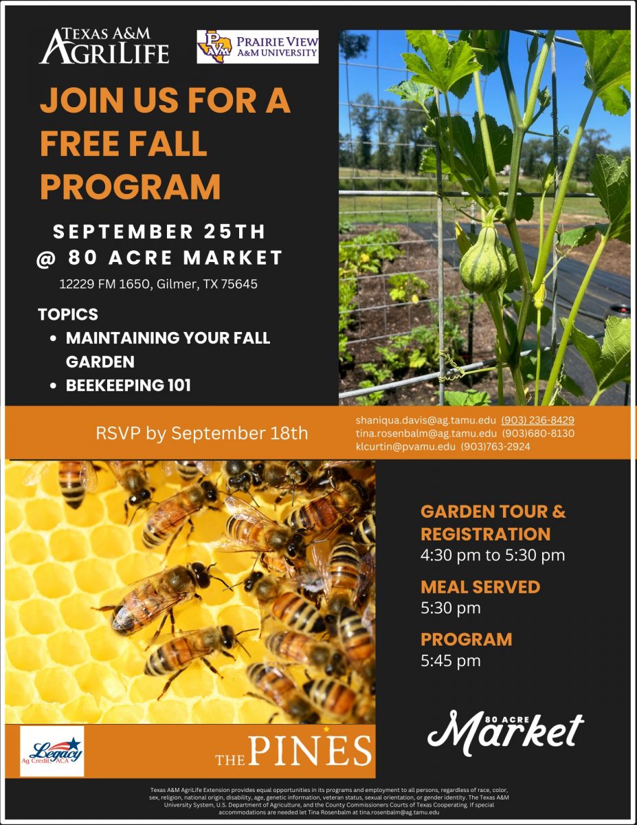JOIN US FOR A FREE FALL PROGRAM – The Gilmer Mirror