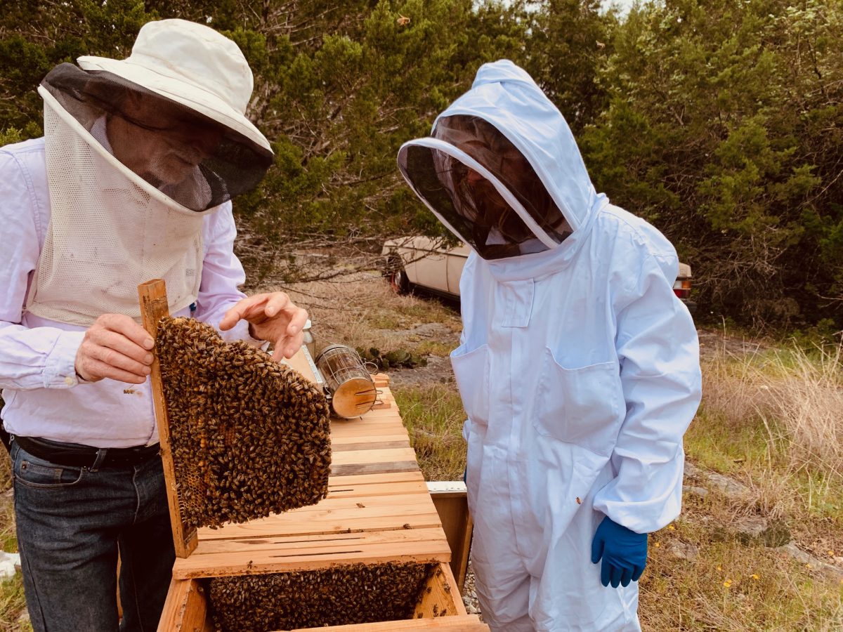 Top Bar Hive Class – The Gilmer Mirror