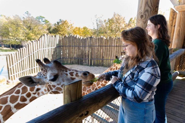 UT Tyler, Caldwell Zoo Partner to Establish Biology Course – The Gilmer ...