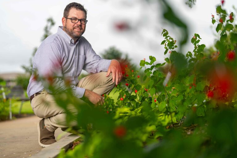 SFA Gardens to Host Plant Propagation Workshop – The Gilmer Mirror