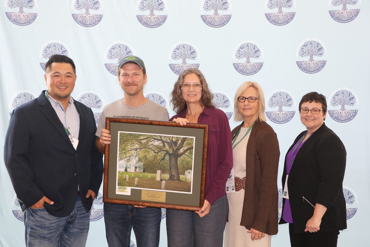Tree care professionals, projects recognized at 2025 Texas Tree ...
